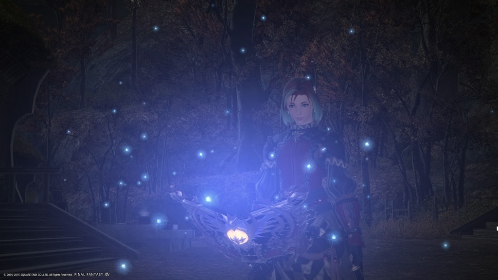 Fran Seara Blog Entry `Fran's Guide for Gearing a SMN (fresh 50's ...