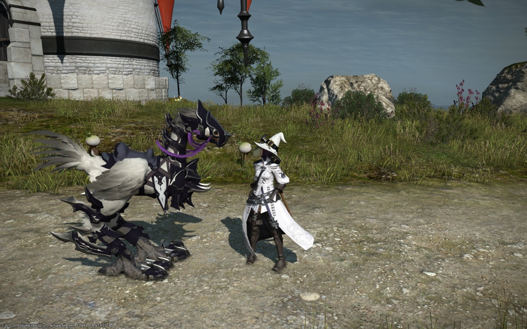 N'yuuki Nekohmi Blog Entry `Chocobo Dye - Snow White` | FINAL FANTASY ...