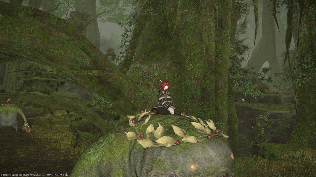Minis Mahn Blog Entry `パッチ2.1はスゴい物量(@_@)` | FINAL FANTASY XIV, The ...