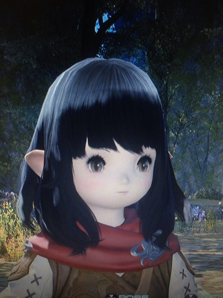 Pitagora Switch 日記「キャラメイクおまけ日記」 | FINAL FANTASY XIV, The Lodestone