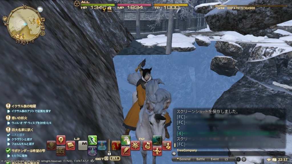 Noah Rawlins 日記「救出！ 地形にハマった猫」 | FINAL FANTASY XIV, The Lodestone