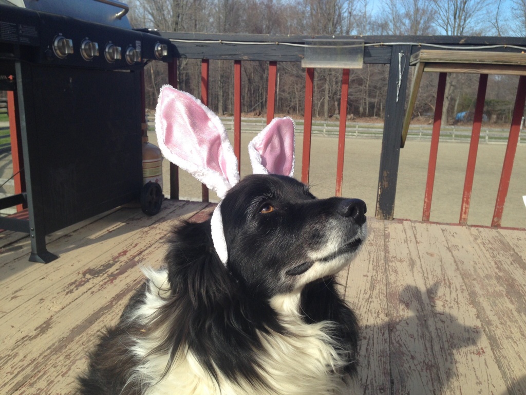 Daniel Boon Blog Entry `Happy Easter!` | FINAL FANTASY XIV, The Lodestone