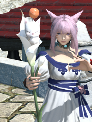 Articles de M'rasahqi Hanhe (Get All Moogle Weapons Kupo! (part1 ...