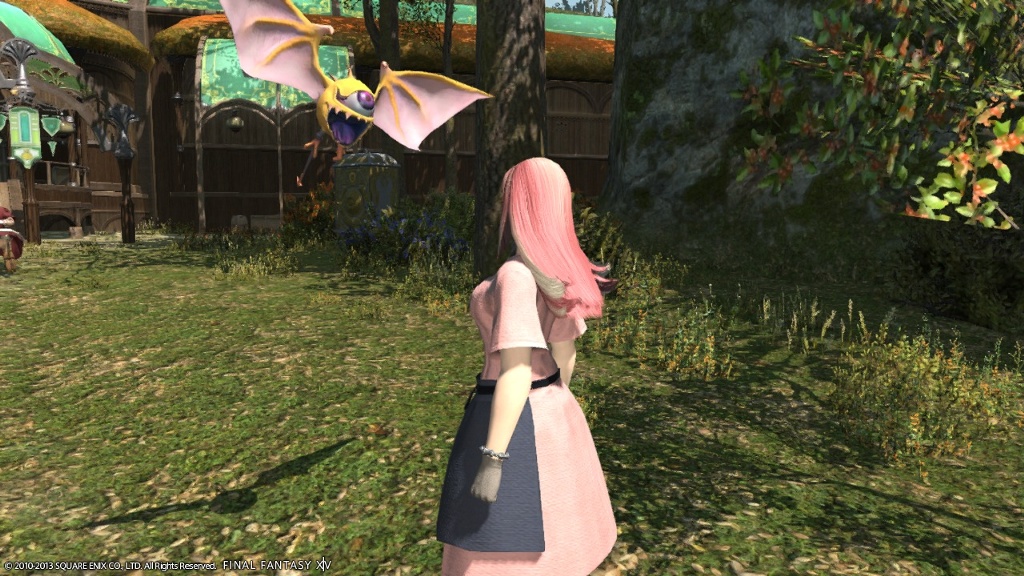 Elisis Loneheart Blog Entry `Pets, minions, creatures` | FINAL FANTASY ...