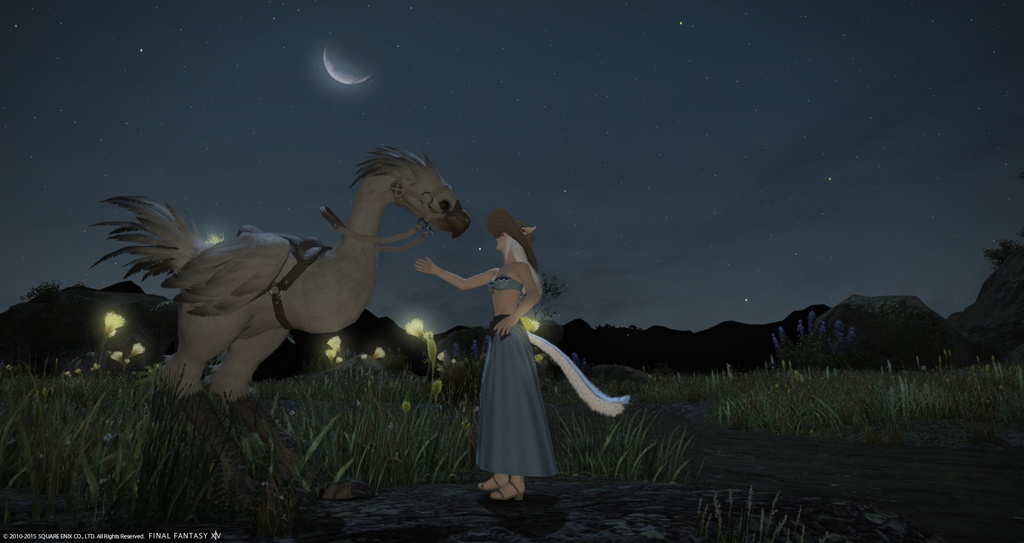 Lucky Gambler Blog Entry `My Chocobo Bardings` | FINAL FANTASY XIV, The ...