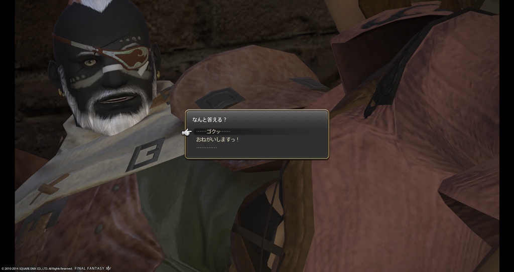 Minchi Pine 日記「PFPF」 | FINAL FANTASY XIV, The Lodestone