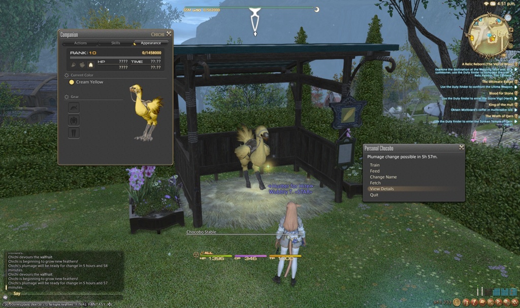 Wubbly Tubbles Blog Entry `Snow White Chocobo` | FINAL FANTASY XIV, The ...