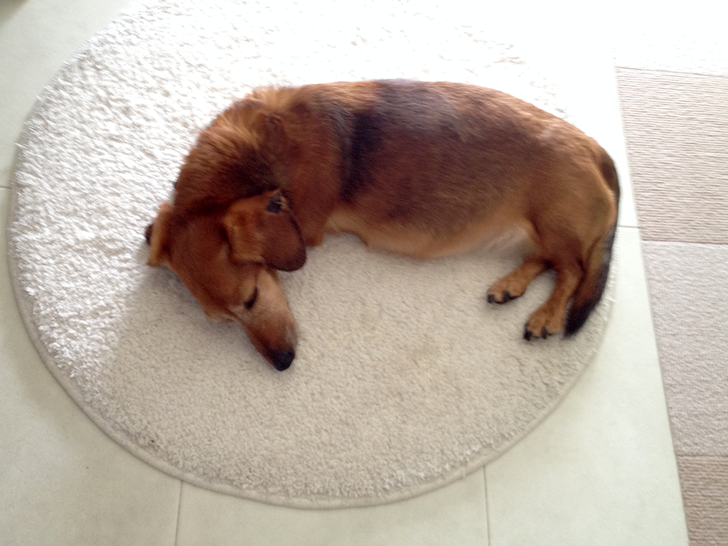 Momo Suke 日記「リアルももすけ！」 | FINAL FANTASY XIV, The Lodestone