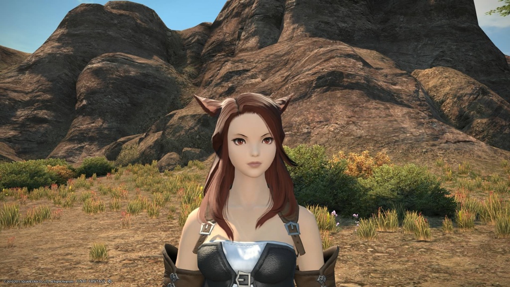 Ember Cinder Blog Entry `The Many (Never to be used) Faces of Ember ...