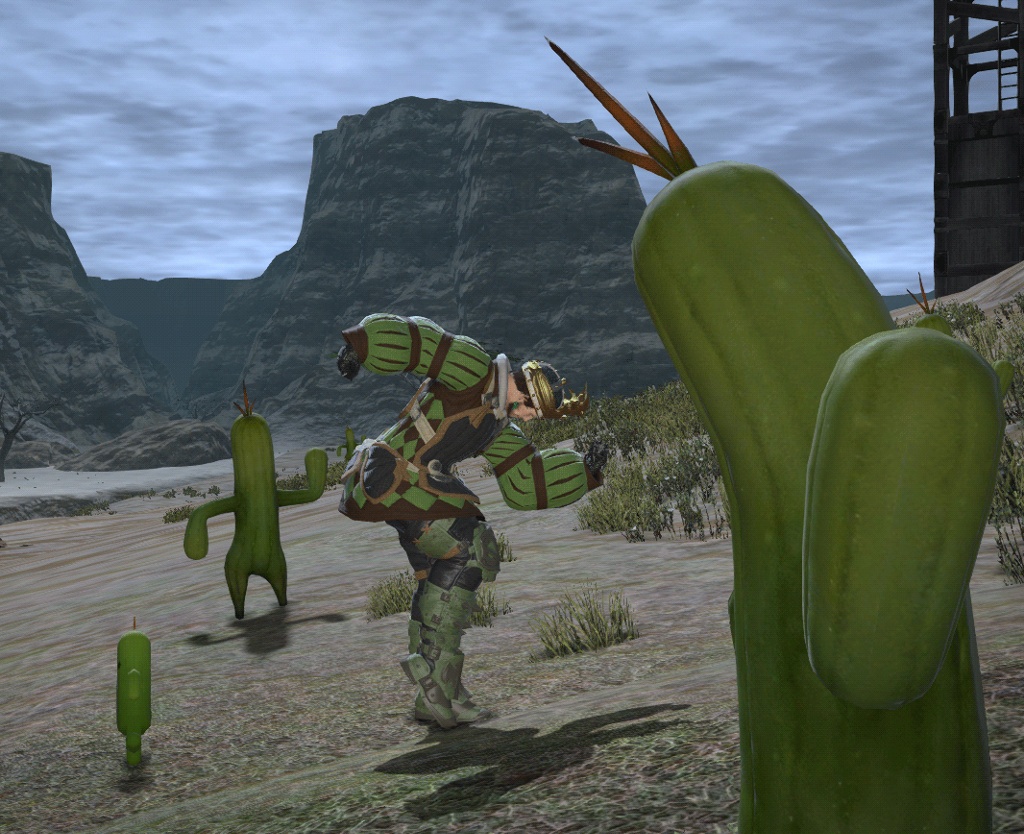 Drakon Macar Blog Entry `Enter the Cactuar!` | FINAL FANTASY XIV, The ...