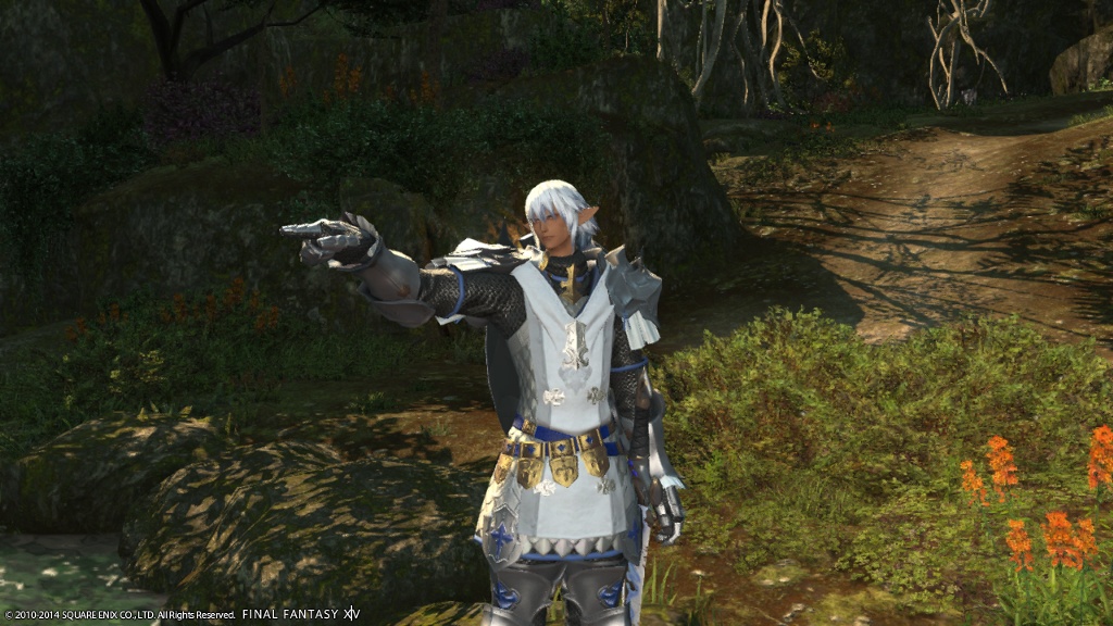 Oboro Malaguld Blog Entry `あなたはどっちのガラントがお好み？` | FINAL FANTASY XIV, The ...
