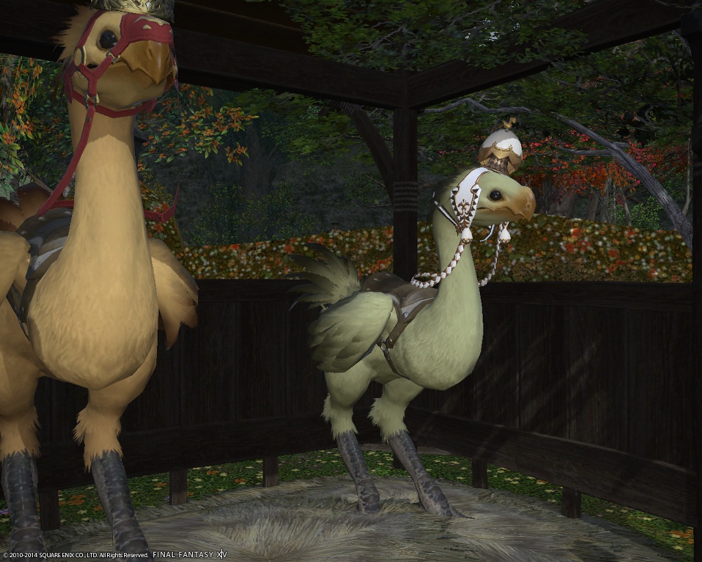 Des Inu Blog Entry `Chocobo colouring :)` | FINAL FANTASY XIV, The ...