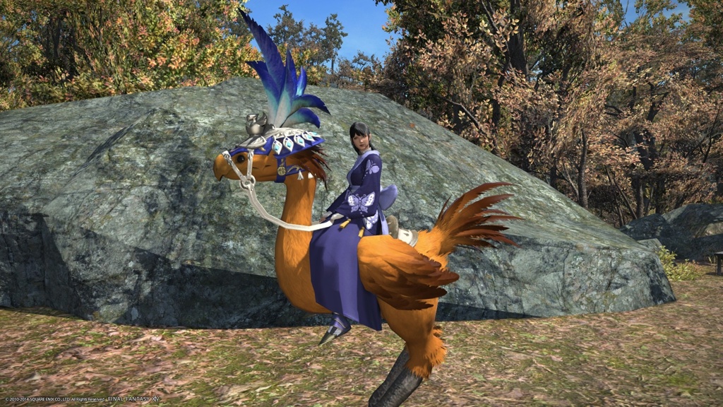 Valia Rosa Blog Entry `Color Your Bird!` | FINAL FANTASY XIV, The Lodestone