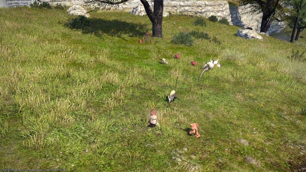 Eorzea Database: Wharf Rat | FINAL FANTASY XIV, The Lodestone