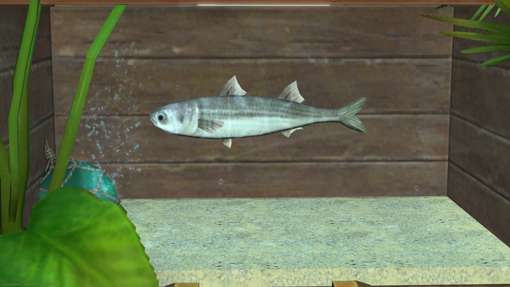 Eorzea Database: Sirensong Mullet | FINAL FANTASY XIV, The Lodestone