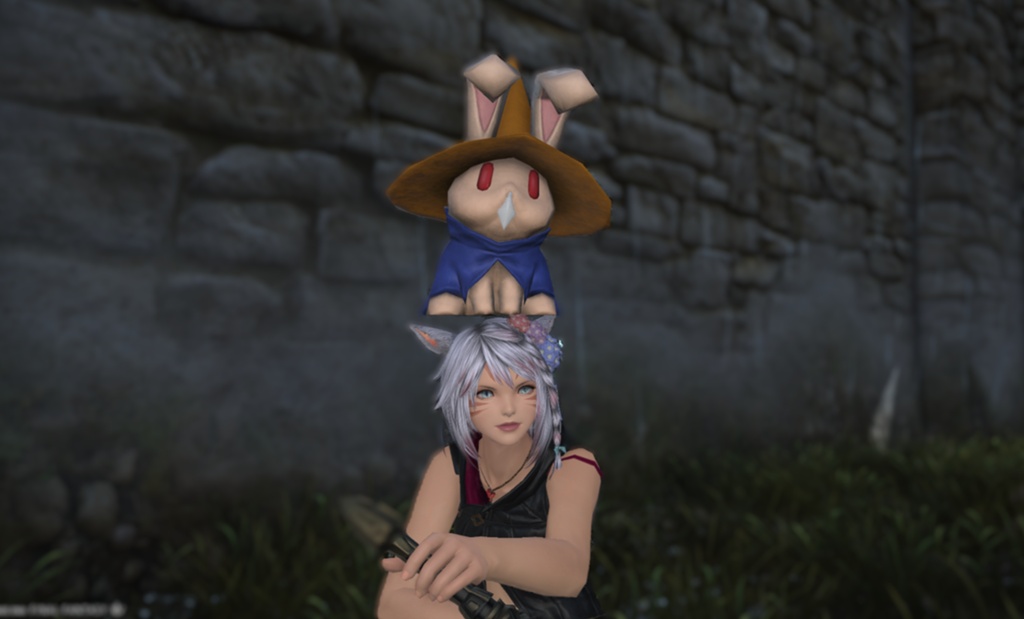 Hum Ming 日記「うさぎさん🐇」 | FINAL FANTASY XIV, The Lodestone