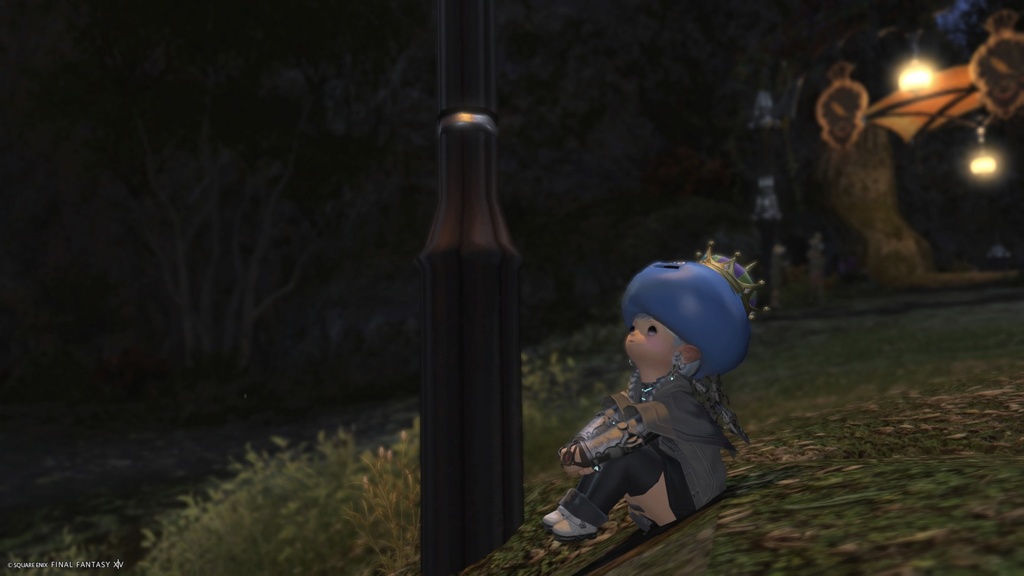 Pupu Epocan 日記「ホバー船GETだじぇ！」 | FINAL FANTASY XIV, The Lodestone