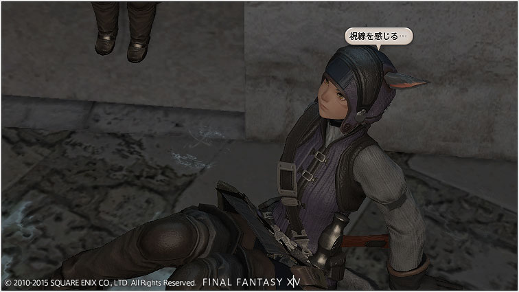 Teal Altham 日記「見…て…いる…よ…」 | FINAL FANTASY XIV, The Lodestone