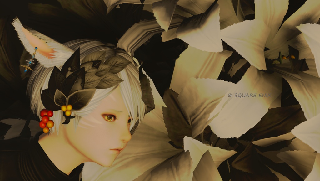 Alice Leonhart Blog Entry `359日目` | FINAL FANTASY XIV, The Lodestone