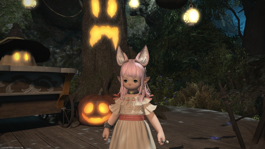 Rouge Rouge 日記「守護天節イベントに参加しました」 | FINAL FANTASY XIV, The Lodestone