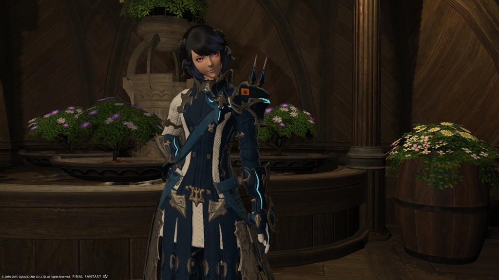 Tsuki Yumi Blog Entry `Miqo'te to Au Ra!` | FINAL FANTASY XIV, The ...