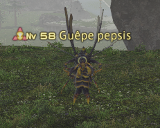 Eorzea Database: Tarantula Hawk | FINAL FANTASY XIV, The Lodestone