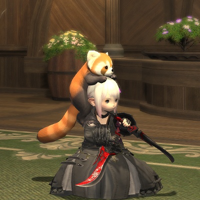 Blogs | FINAL FANTASY XIV, The Lodestone