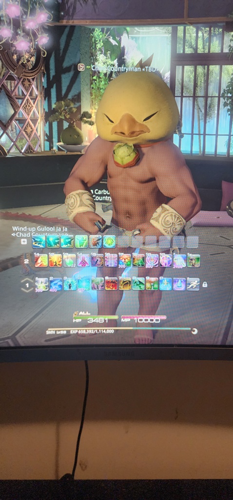Chad Countryman Blog Entry `Posing in the FC house` | FINAL FANTASY XIV ...