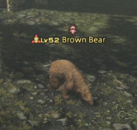 Eorzea Database: Brown Bear | FINAL FANTASY XIV, The Lodestone