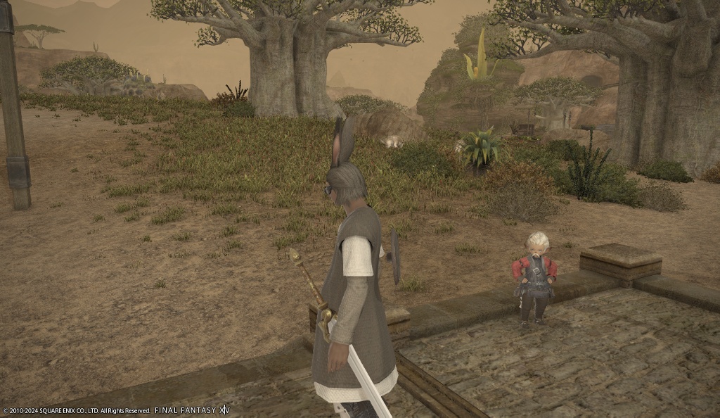 Velocita Cielo Blog Entry `Papashan` | FINAL FANTASY XIV, The Lodestone