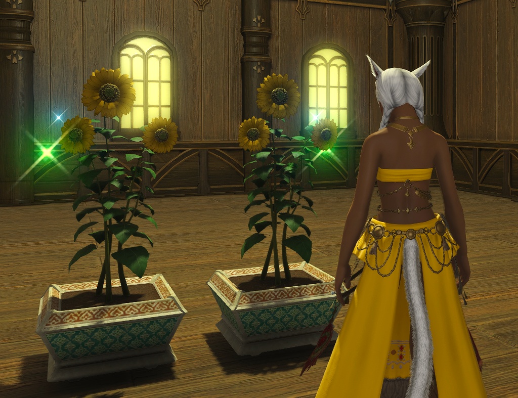Eorzea Database: Yellow Sunflowers | FINAL FANTASY XIV, The Lodestone