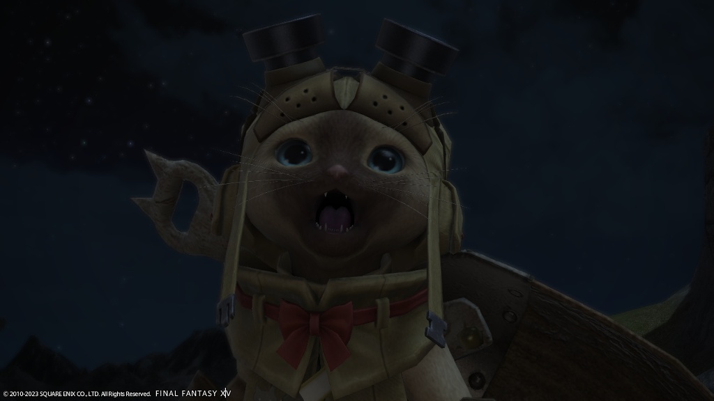 Tsukimi Dango Blog Entry `これだけ言わせて！！(紅蓮)` | FINAL FANTASY XIV, The ...