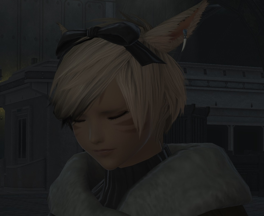 Rio Kolza Blog Entry `How to find a good FC?` | FINAL FANTASY XIV, The ...