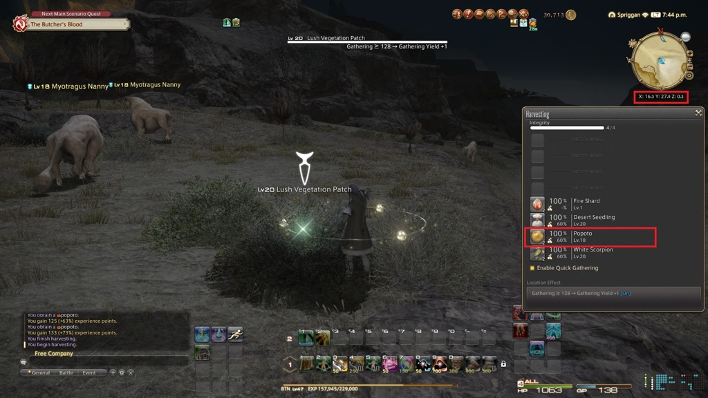 Eorzea Database: Popoto | FINAL FANTASY XIV, The Lodestone