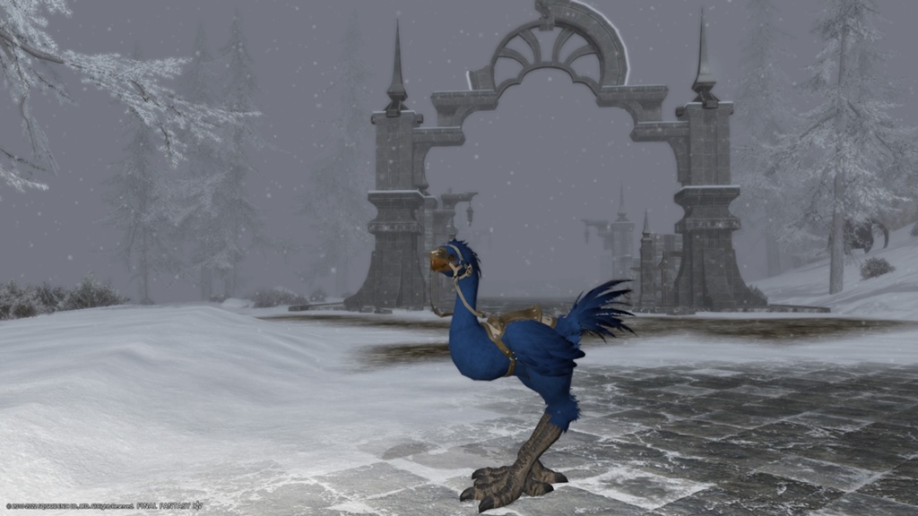 Roynes Mizell Blog Entry `チョコボ` | FINAL FANTASY XIV, The Lodestone