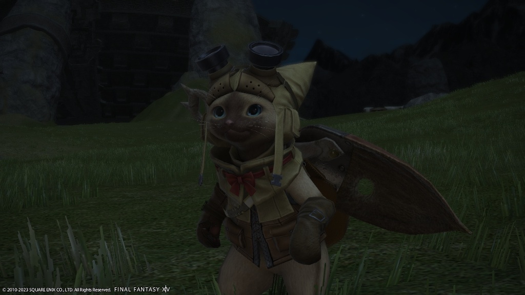 Tsukimi Dango Blog Entry `これだけ言わせて！！(紅蓮)` | FINAL FANTASY XIV, The ...