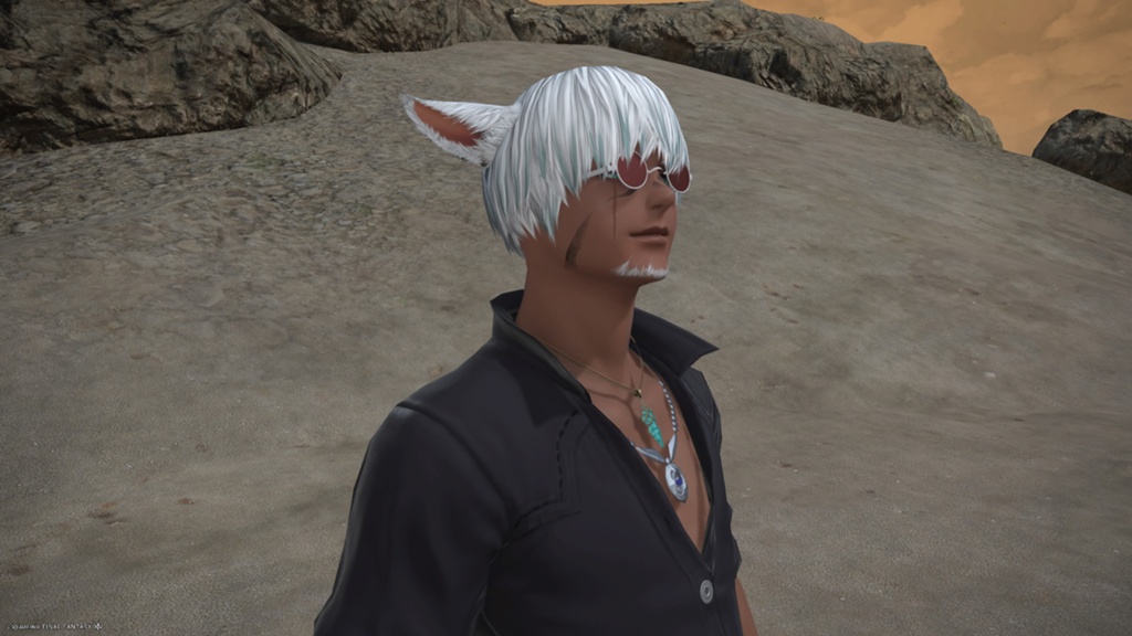 Moco Luke 日記「FF14を休止することにしました」 | FINAL FANTASY XIV, The Lodestone