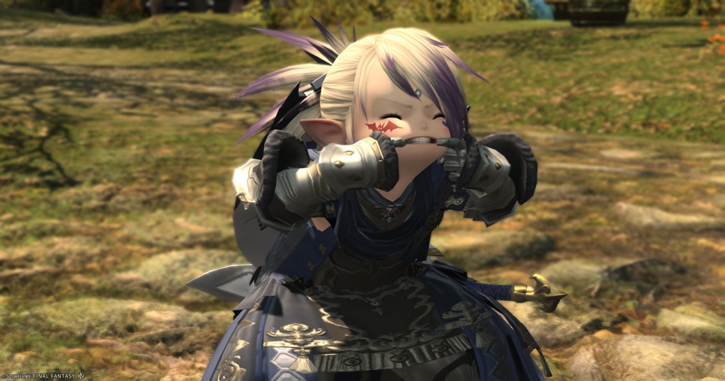 Eluelle Leiray 日記「地図G17ソロ(ナイト)やってみた」 | FINAL FANTASY XIV, The Lodestone