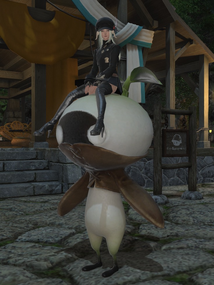 Crispy Pata Blog Entry `Island Sanctuary Mounts` | FINAL FANTASY XIV, The Lodestone