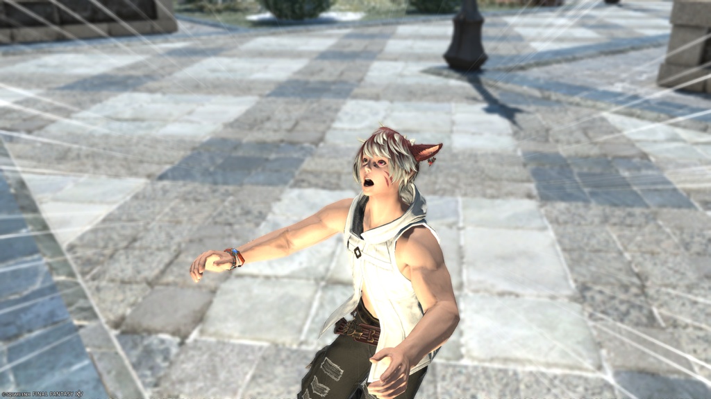 Bontz Kuromine 日記「【ネタバレ有】FF11の思い出が・・・思い出が・・・」 | FINAL FANTASY XIV, The Lodestone