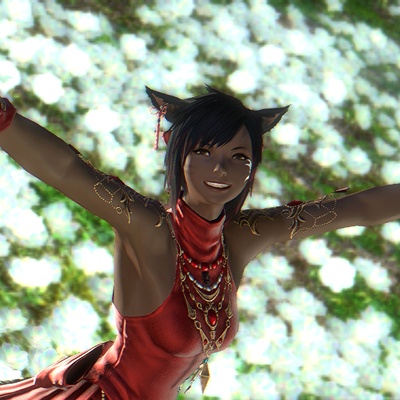 Blogs | FINAL FANTASY XIV, The Lodestone