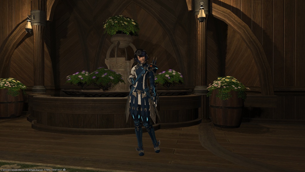 Tsuki Yumi Blog Entry `Miqo'te to Au Ra!` | FINAL FANTASY XIV, The ...