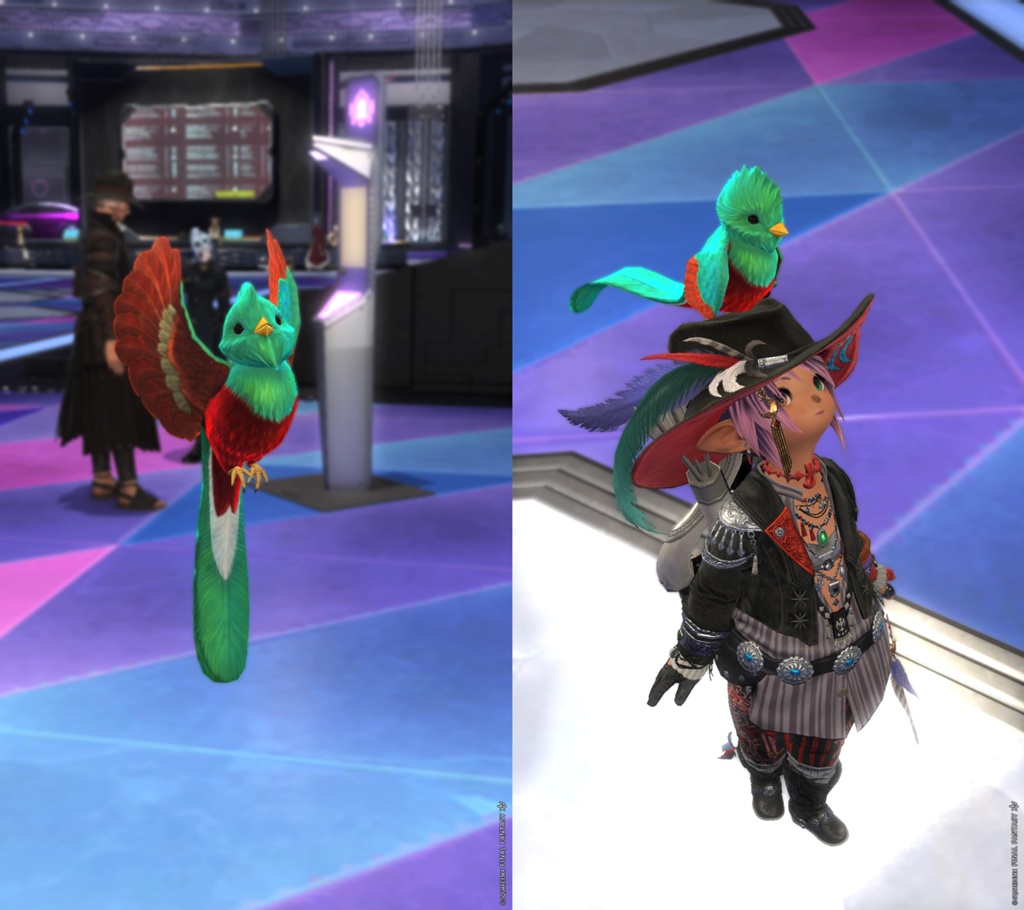 Eorzea Database: Quetzal | FINAL FANTASY XIV, The Lodestone