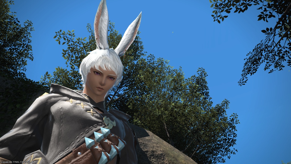 Spike Merlin 日記「ヒーラーさんって実は怖い？ ①」 | FINAL FANTASY XIV, The Lodestone