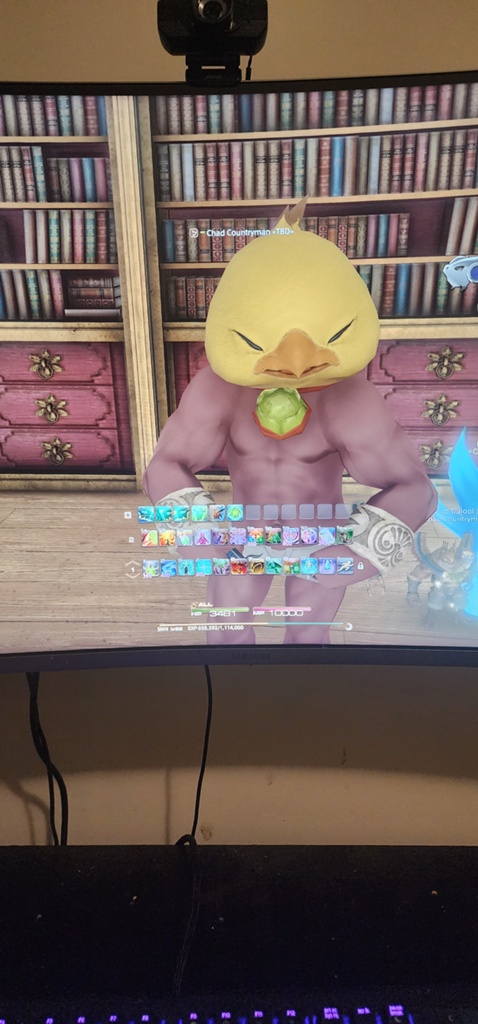 Chad Countryman Blog Entry `Posing in the FC house` | FINAL FANTASY XIV ...