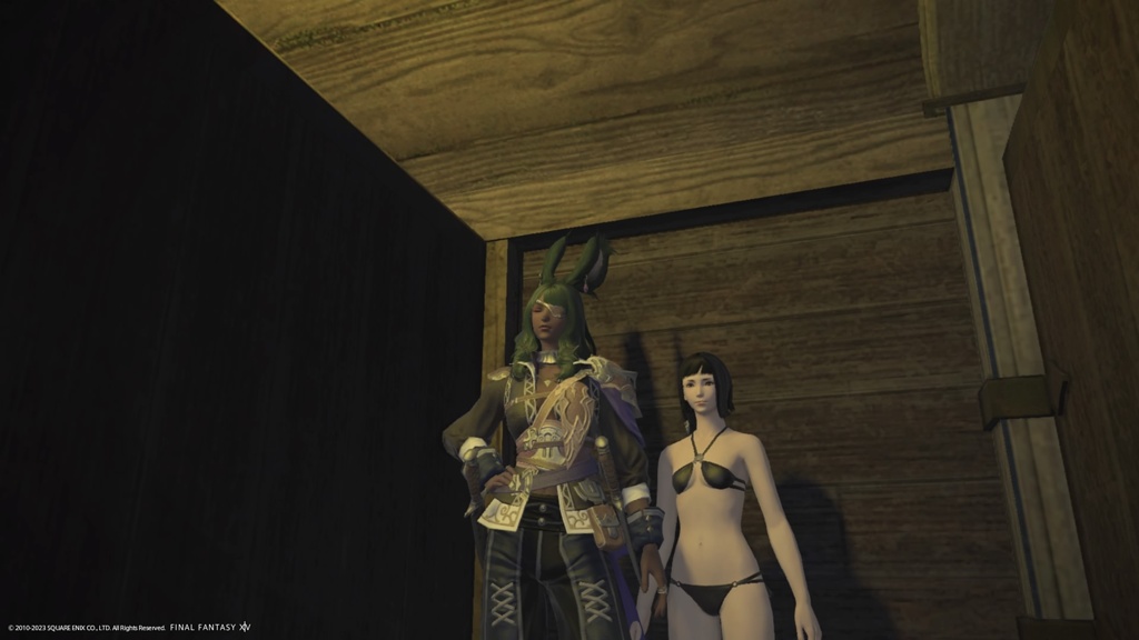 Carina Terminus 日記「来る日もバトル」 | FINAL FANTASY XIV, The Lodestone