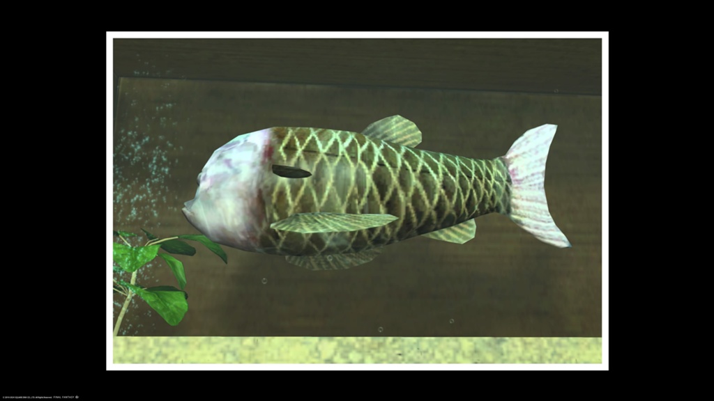 Eorzea Database: Ghoulfish | FINAL FANTASY XIV, The Lodestone