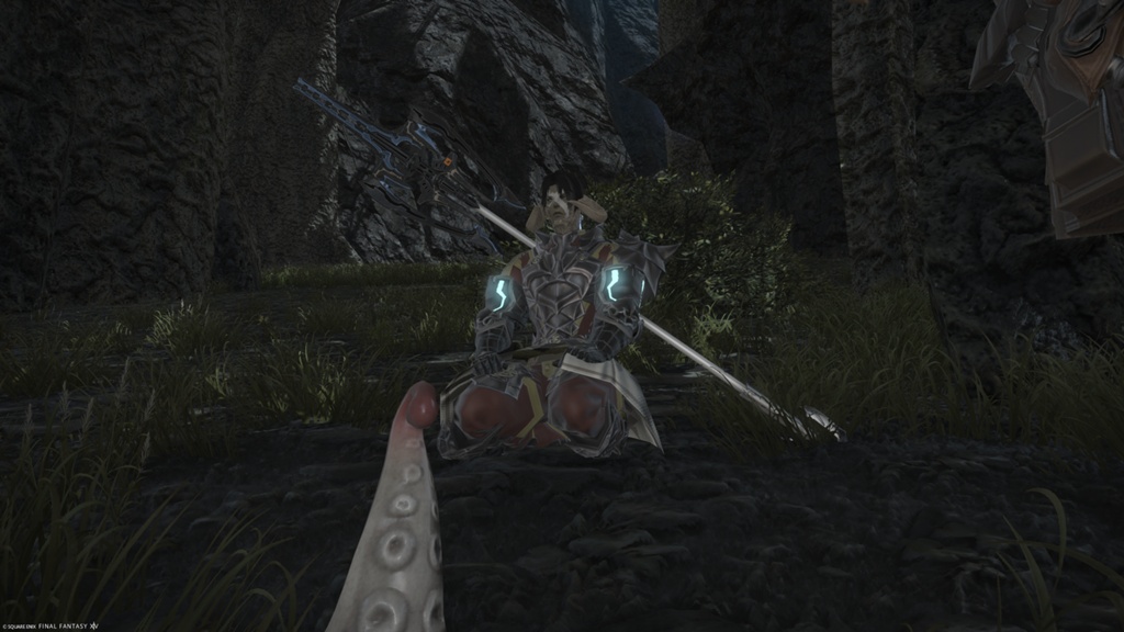 Zissa Jinhalt 日記「公開情報の必要性と、ゲソとの出会い」 | FINAL FANTASY XIV, The Lodestone