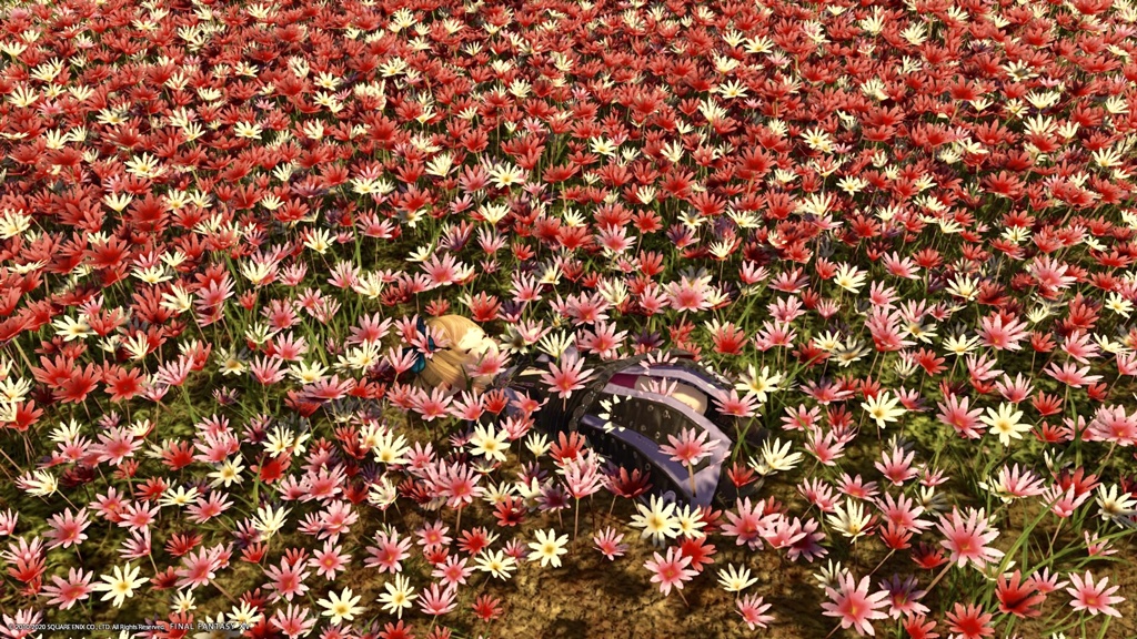 Kota Milala 日記「どこでも寝れるよ！？このエモート！」 | FINAL FANTASY XIV, The Lodestone