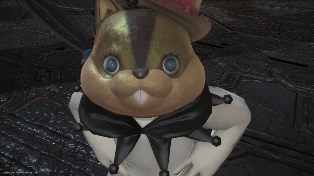 Octa Nona 日記「再出発日記その九十六 『いつかカエルところ』」 | FINAL FANTASY XIV, The Lodestone